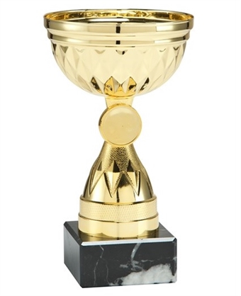 Små och mellanstora budget-pokaler med gravyr - Prishuset